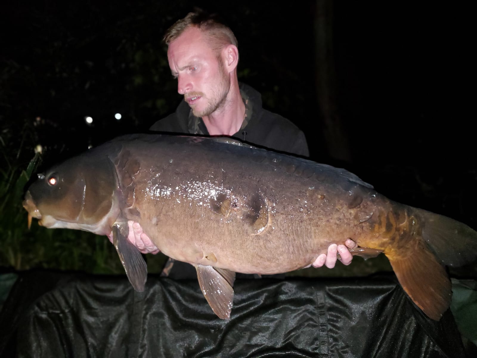 Kingfisher 2 | Total Carp